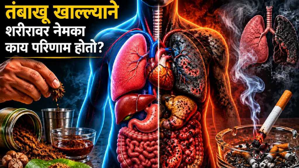 तंबाखू खाल्ल्याने शरीरावर नेमका काय परिणाम होतो? वेळीच सवय सोडा, अन्यथा ...